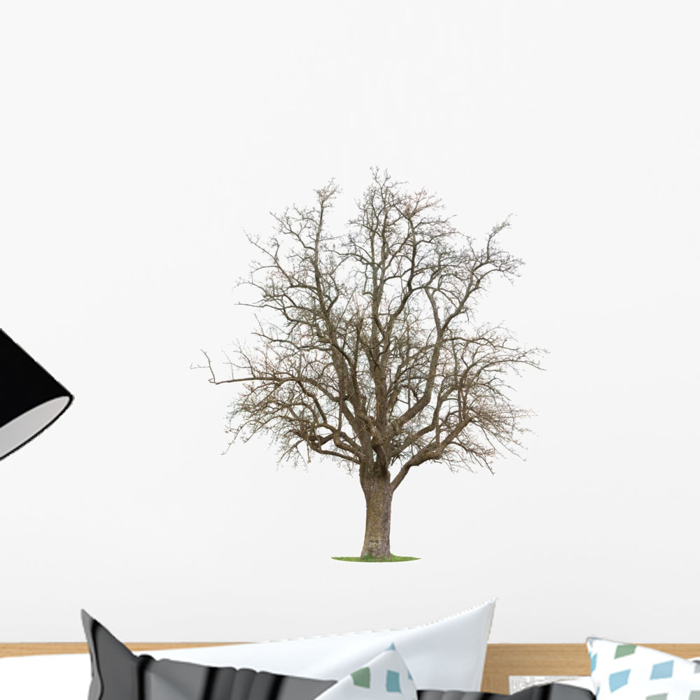 Apple Tree Wall Decal – Wallmonkeys