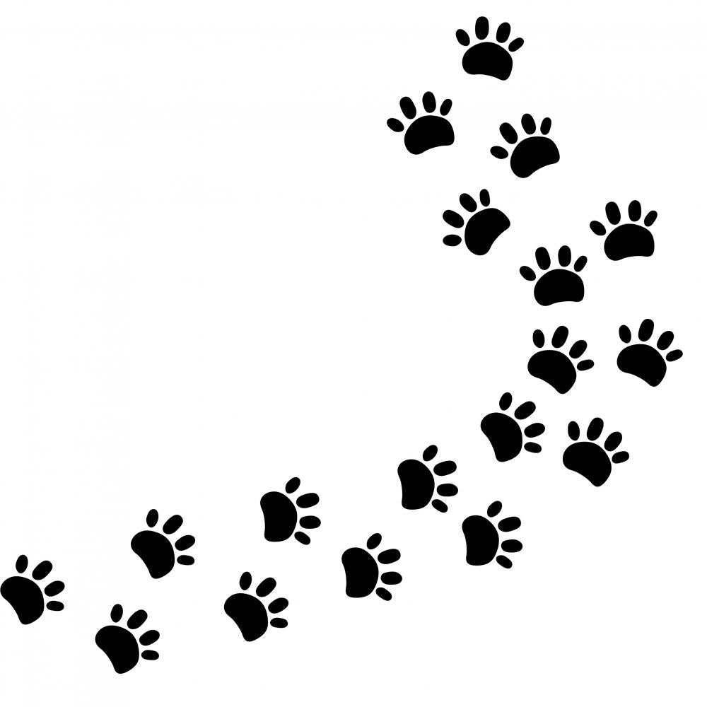 Animal Walk Print Wall Decal Sticker Set 1 WallMonkeys Wallmonkeys animal-walk-print-wall-decal-sticker-set-1-wallmonkeys-wallmonkeys