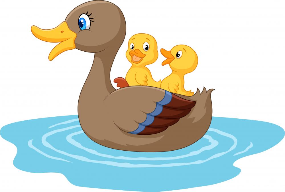 Duck Pond Clip Art
