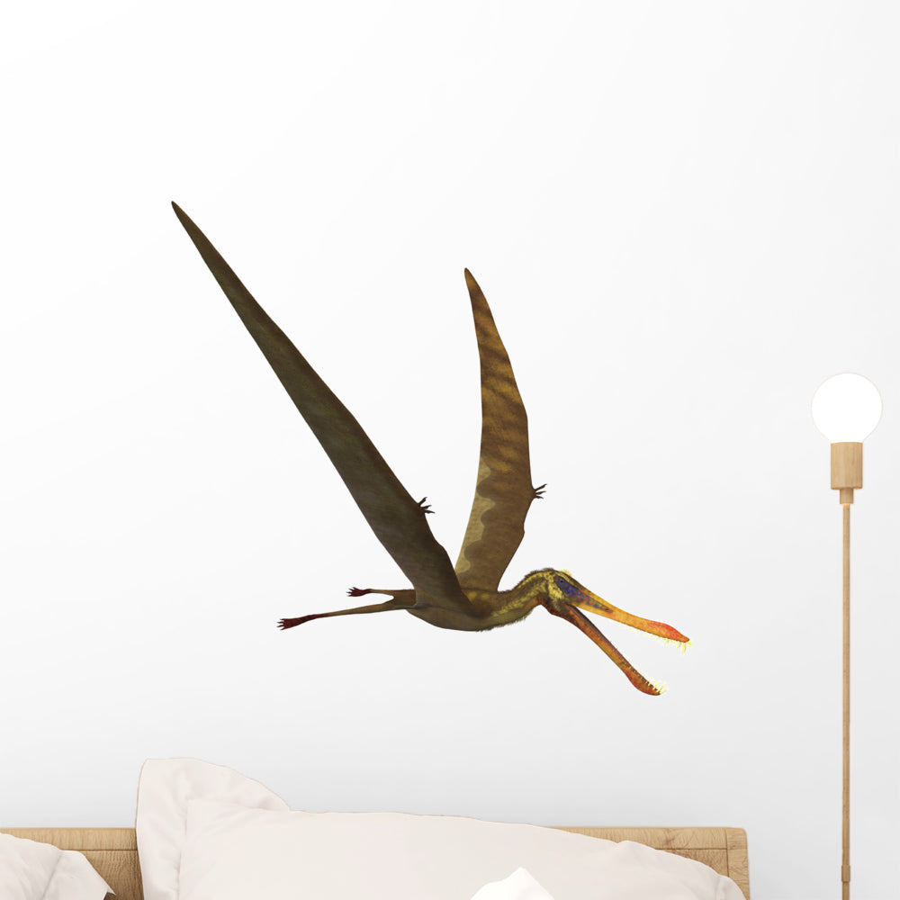 Anhanguera Genus Pterosaur from Wall Decal - WallMonkeys.com – Wallmonkeys
