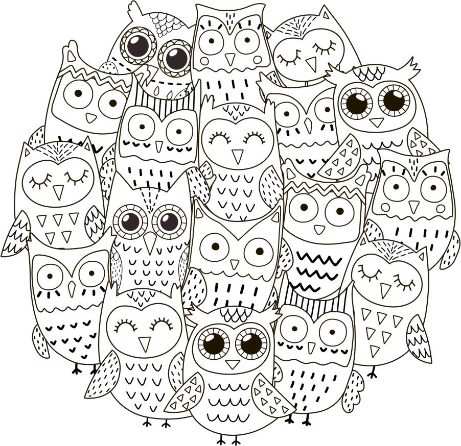 coloring pages owl cute
