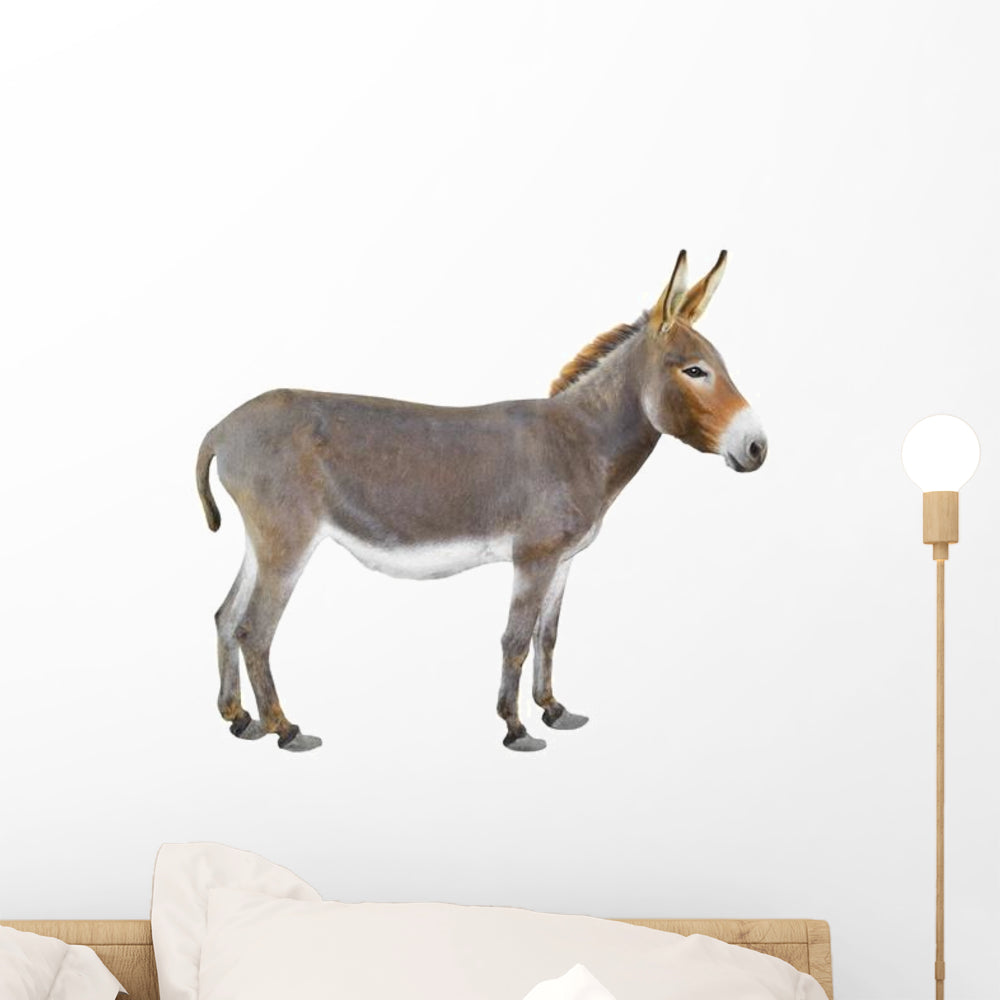 Donkey Wall Decal - WallMonkeys.com – Wallmonkeys