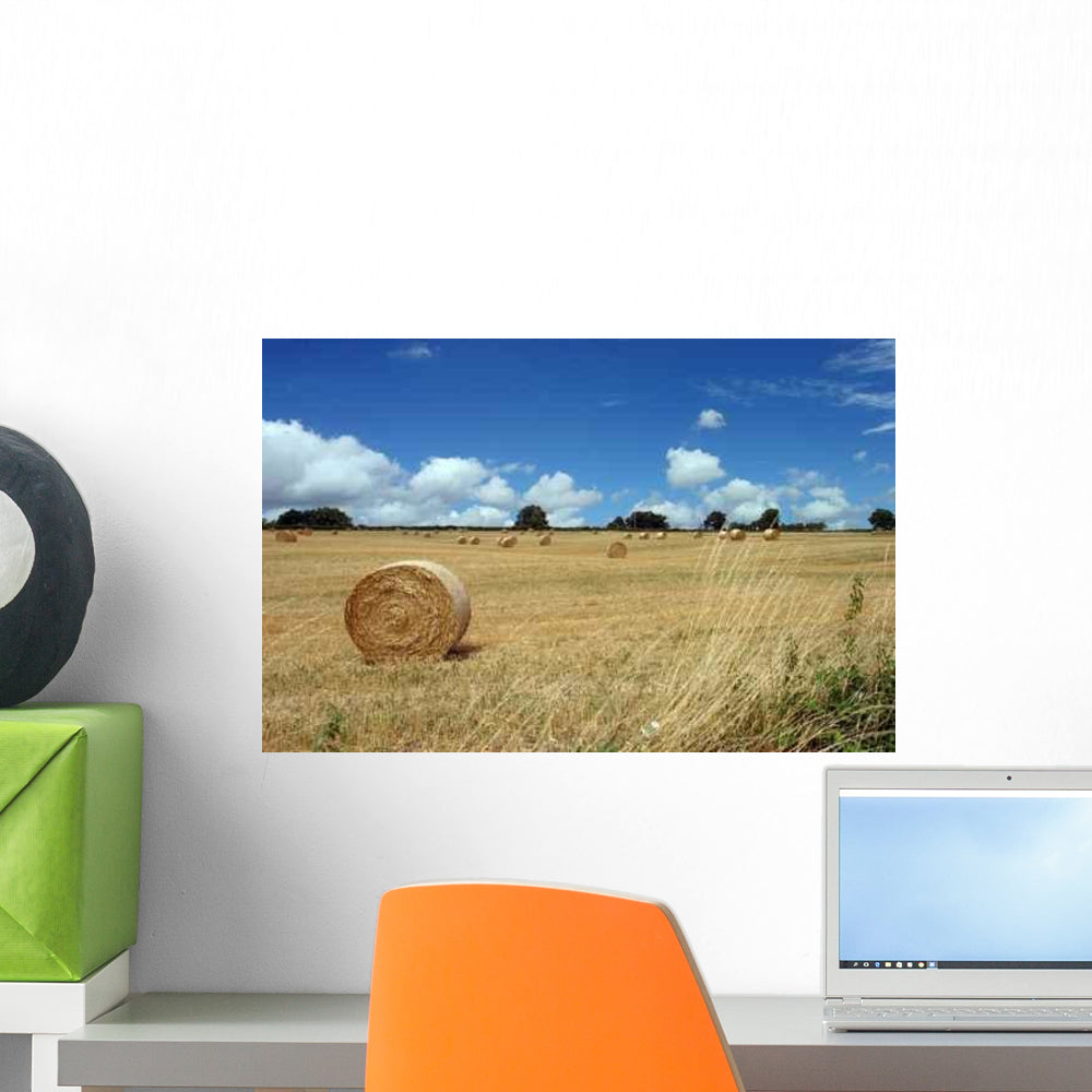 Campaign Wall Decal - WallMonkeys.com – Wallmonkeys