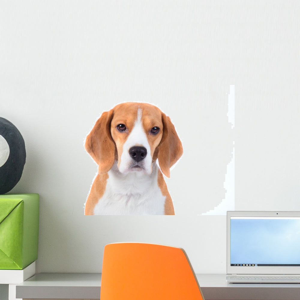 Beagle Dog Portrait Wall Decal - WallMonkeys.com – Wallmonkeys