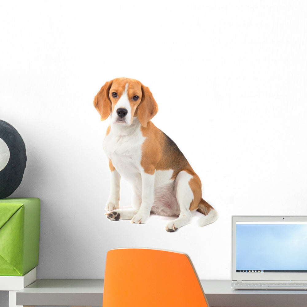 Beagle Dog Wall Decal - WallMonkeys.com – Wallmonkeys