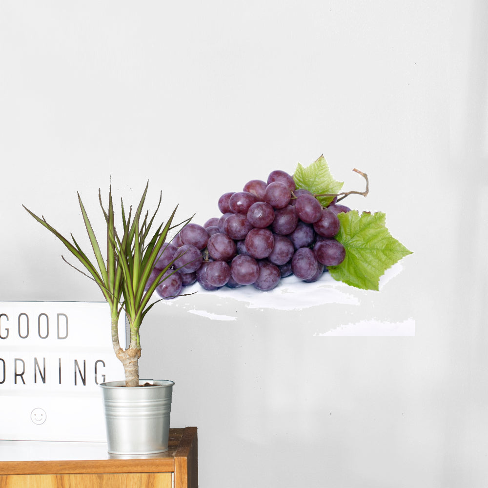 Grapes Wall Decal - WallMonkeys.com – Wallmonkeys