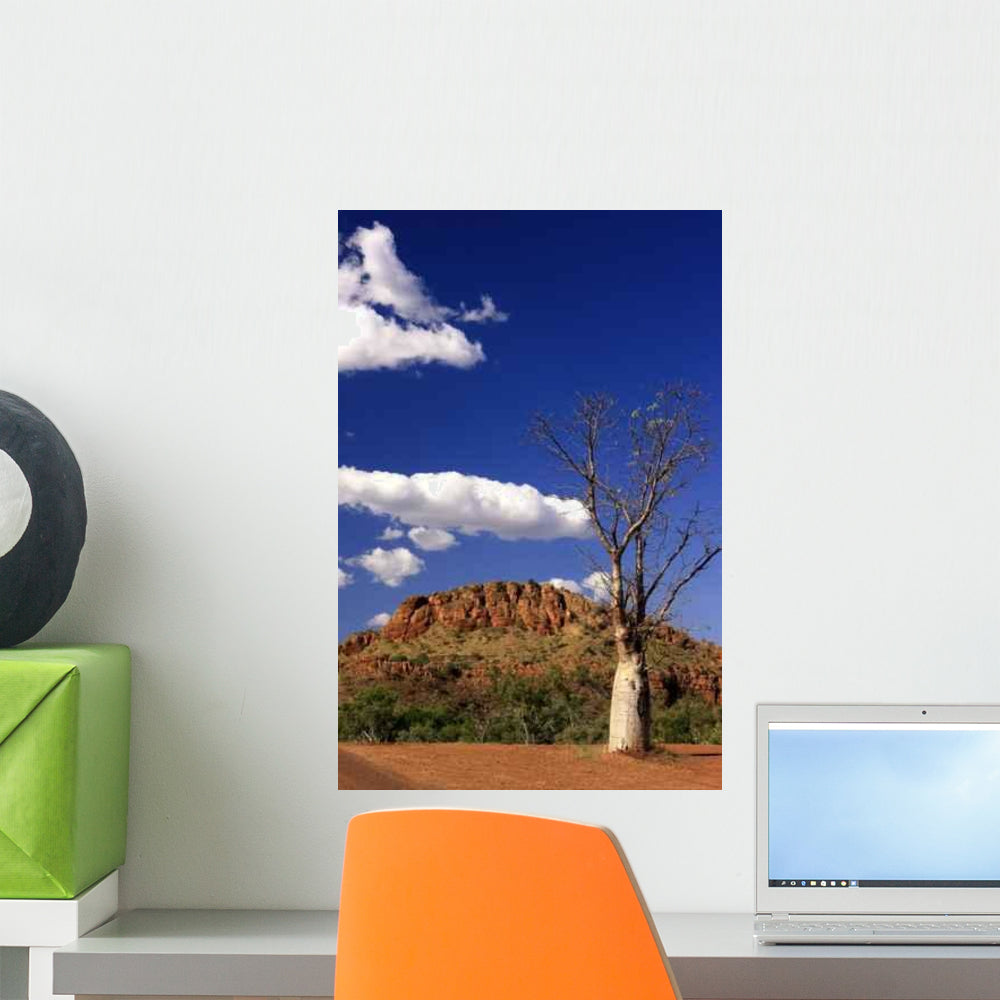 Bottle Tree Boab Wall Decal - WallMonkeys.com – Wallmonkeys