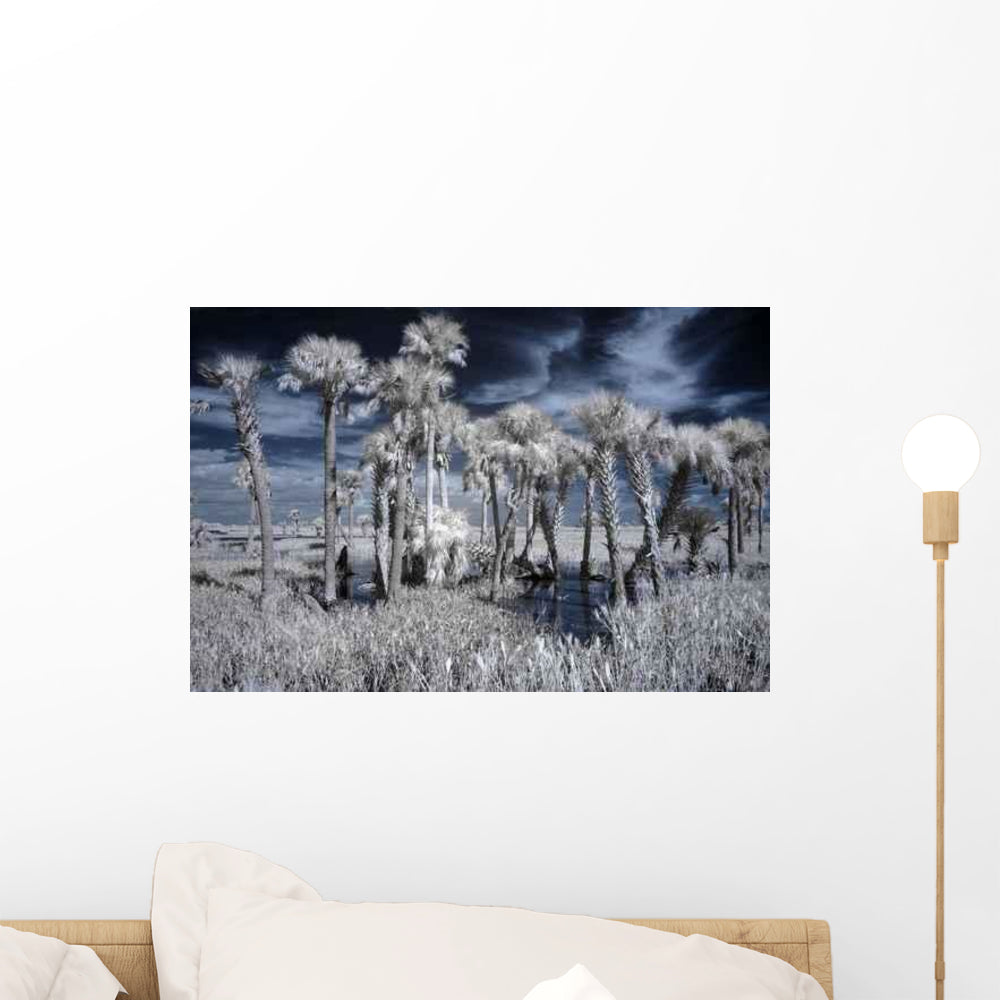 Infrared Wetland Landscape Wall Decal - WallMonkeys.com – Wallmonkeys