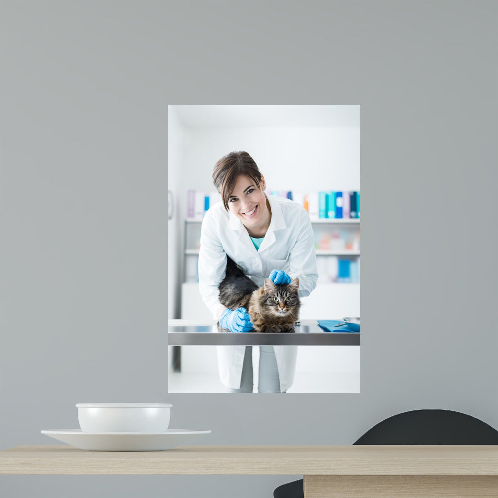 Veterinarian Examining Cat Surgical Wall Decal - WallMonkeys.com ...