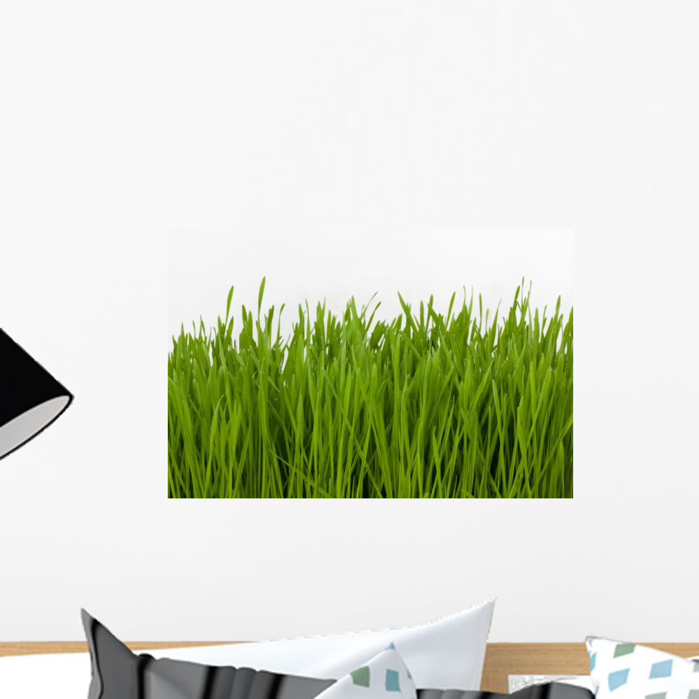 Wheat Grass Wall Decal - WallMonkeys.com – Wallmonkeys