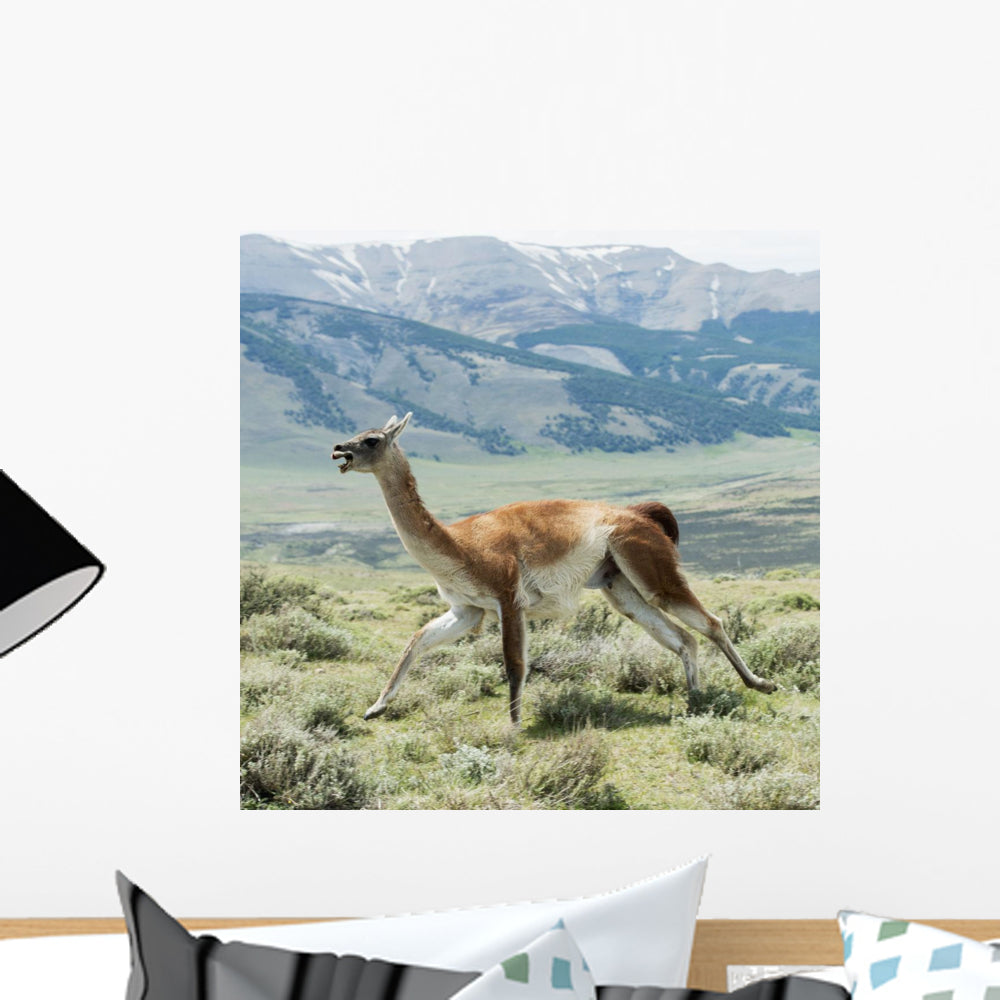 Guanaco Wall Decal Design 1 - WallMonkeys.com – Wallmonkeys