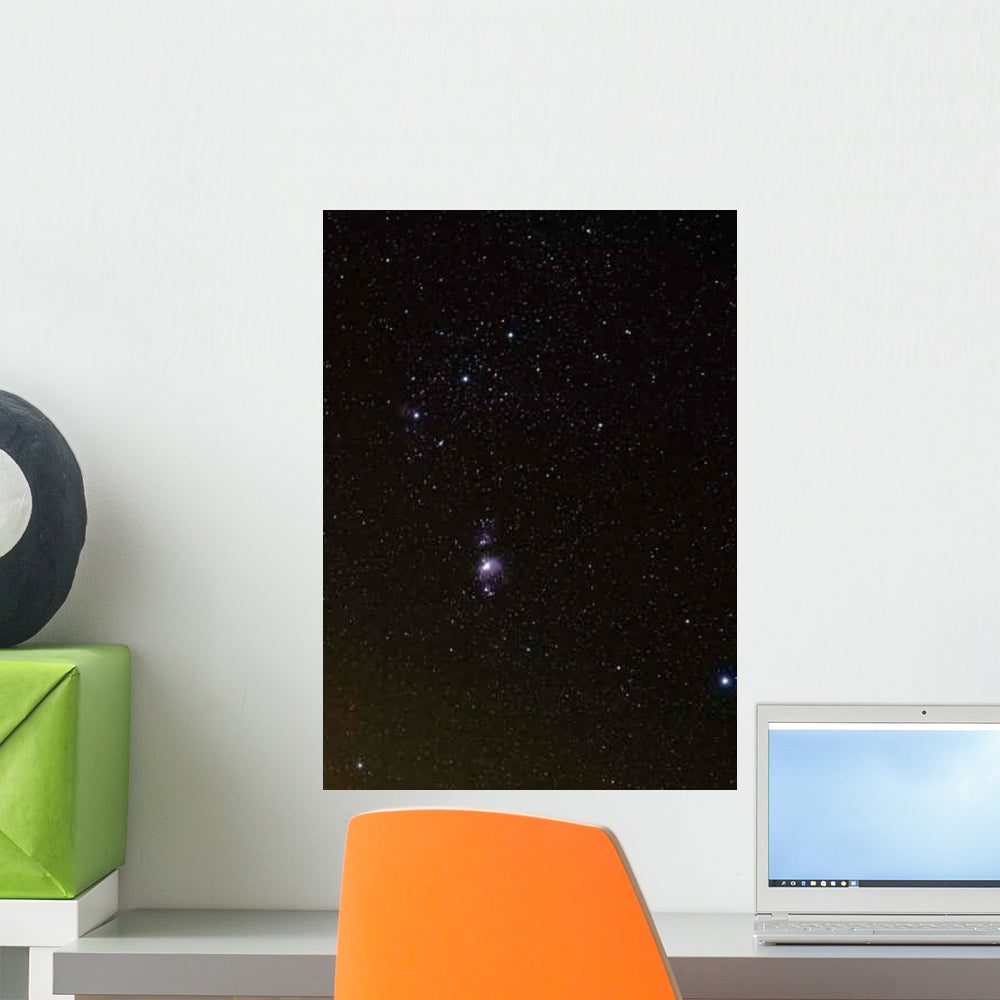 Orion Rebel Wall Decal - WallMonkeys.com – Wallmonkeys