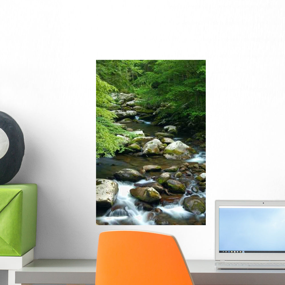 Fresh Water Wall Decal - WallMonkeys.com – Wallmonkeys