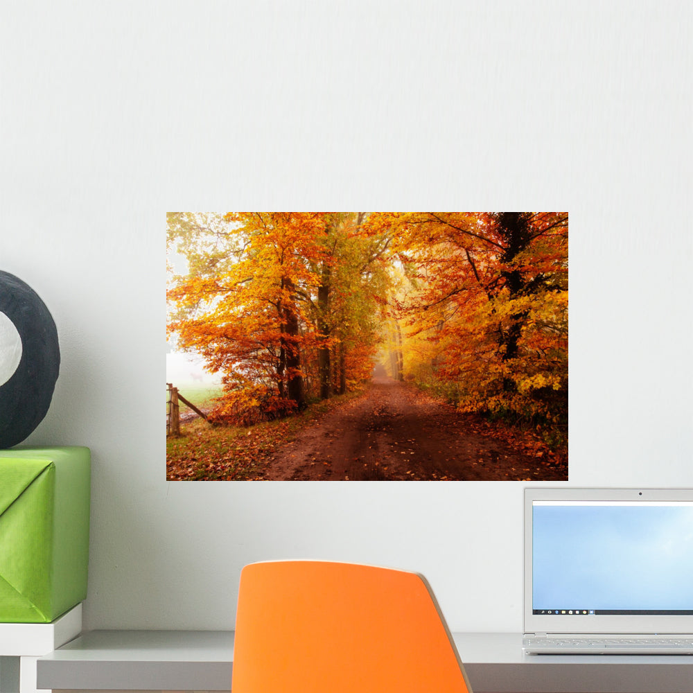 Autumn Forest Wall Mural – Wallmonkeys