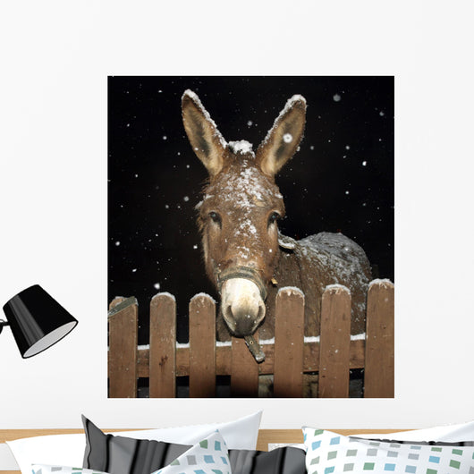 Light Winter Snowfall Donkey Wall Mural – Wallmonkeys