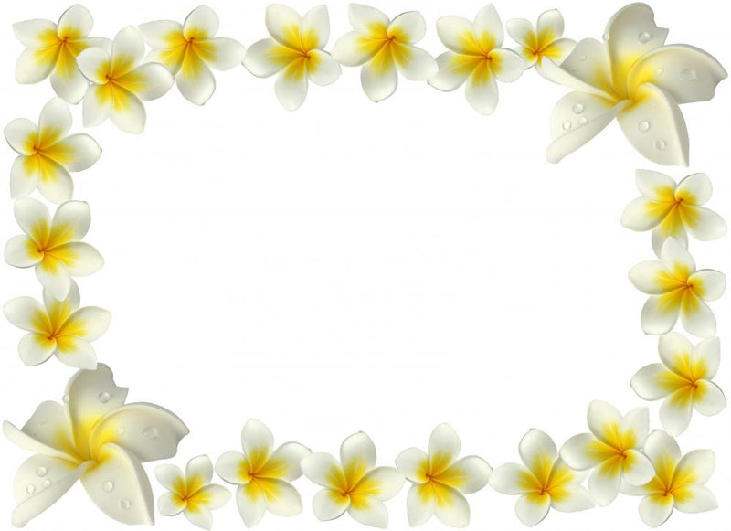 Plumeria Border Clip Art