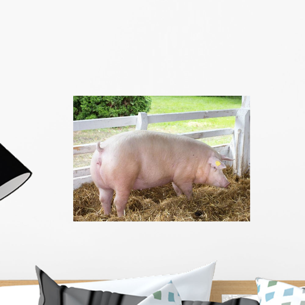 Large White Swine Farm Wall Decal - WallMonkeys.com – Wallmonkeys