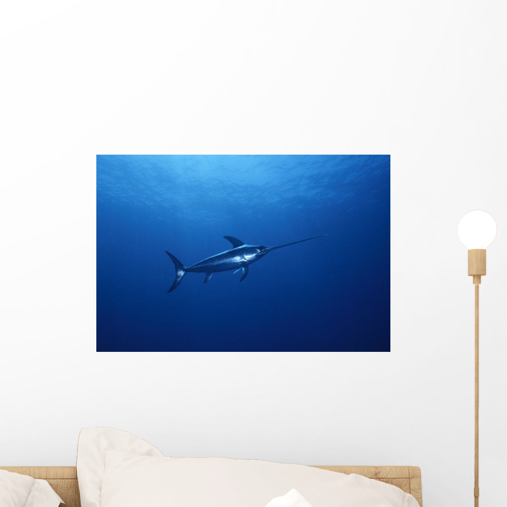 Broadbill Swordfish Swimming Sea Wall Mural – Wallmonkeys