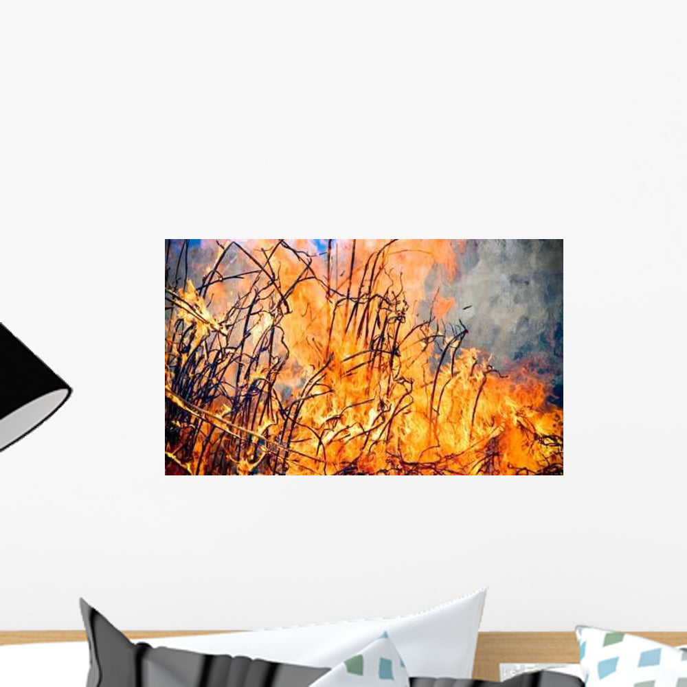 Fire Flame Wall Decal - WallMonkeys.com – Wallmonkeys