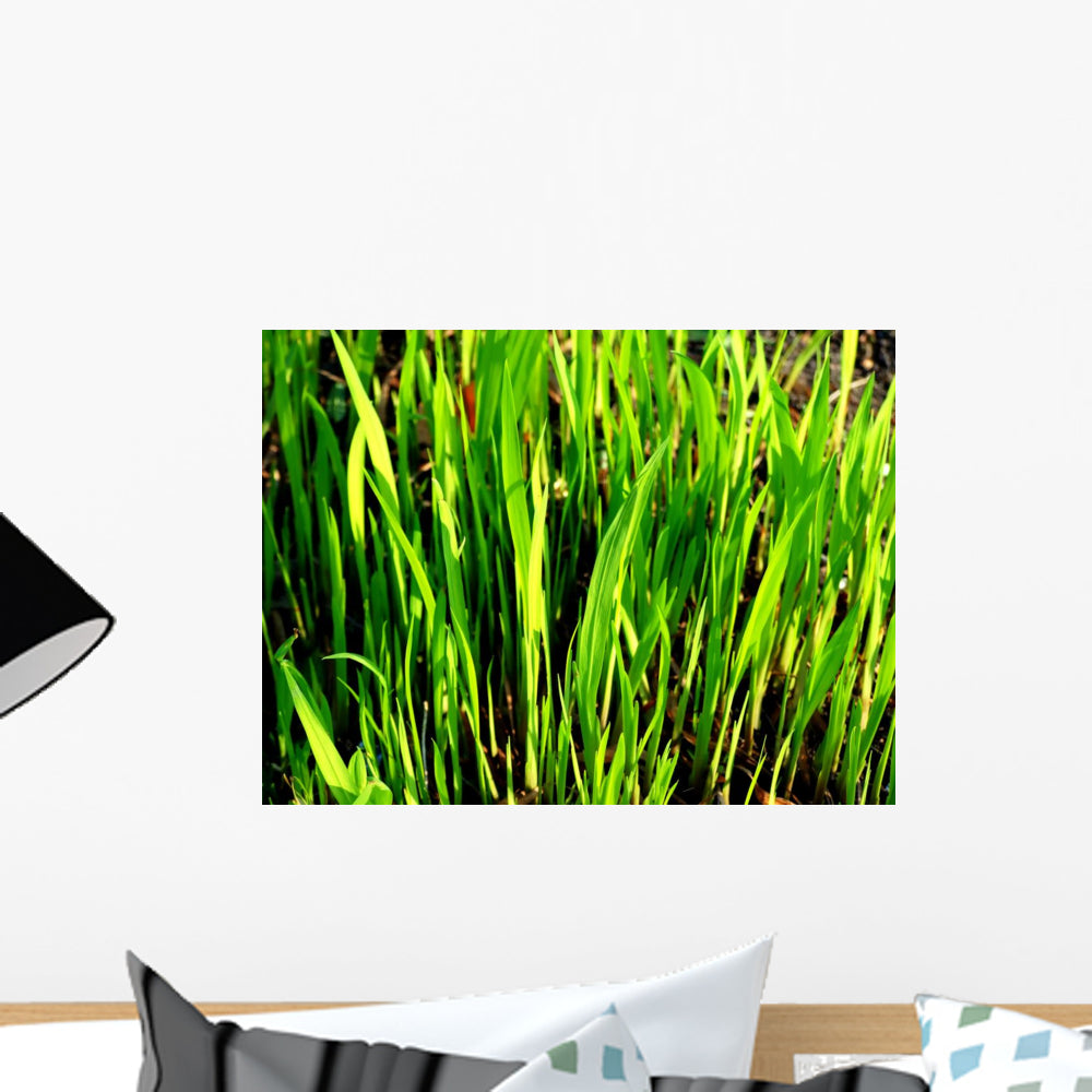 Grass Wall Mural – Wallmonkeys