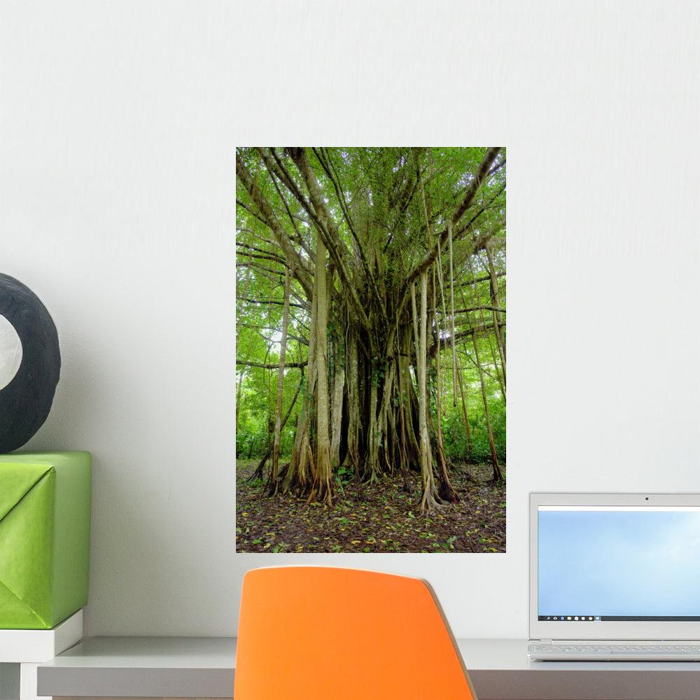 Amazon Jungle Tree Wall Mural – Wallmonkeys