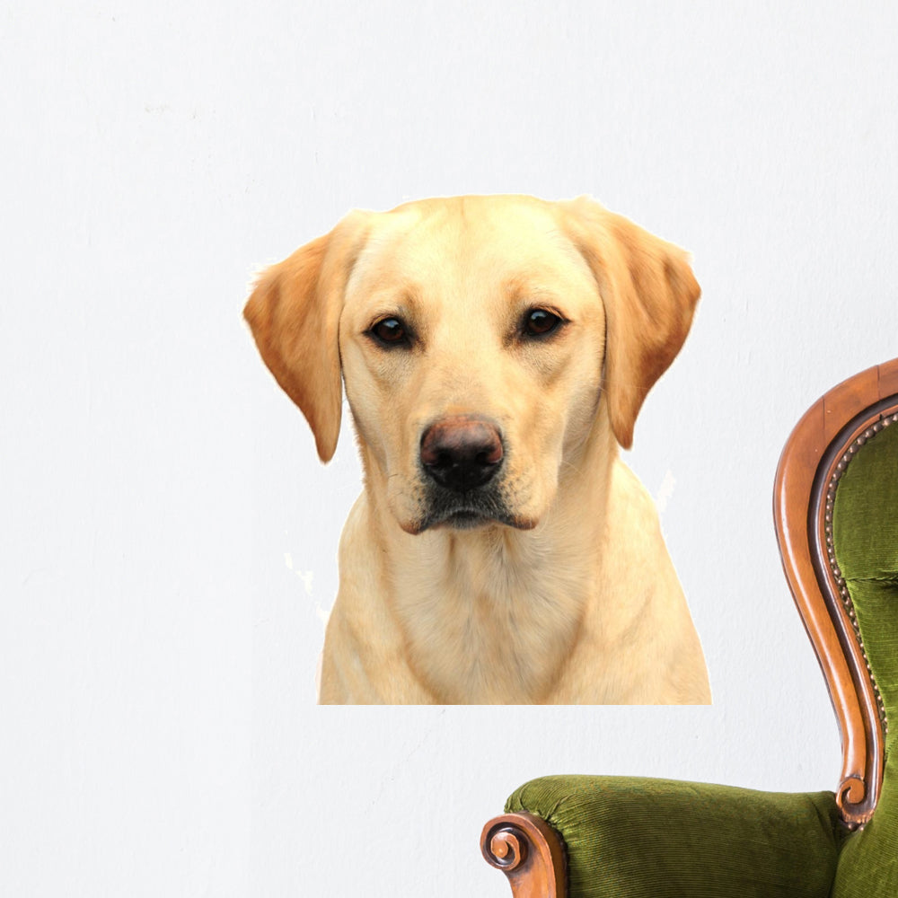 Headshot Cute Labrador Pup Wall Decal – Wallmonkeys