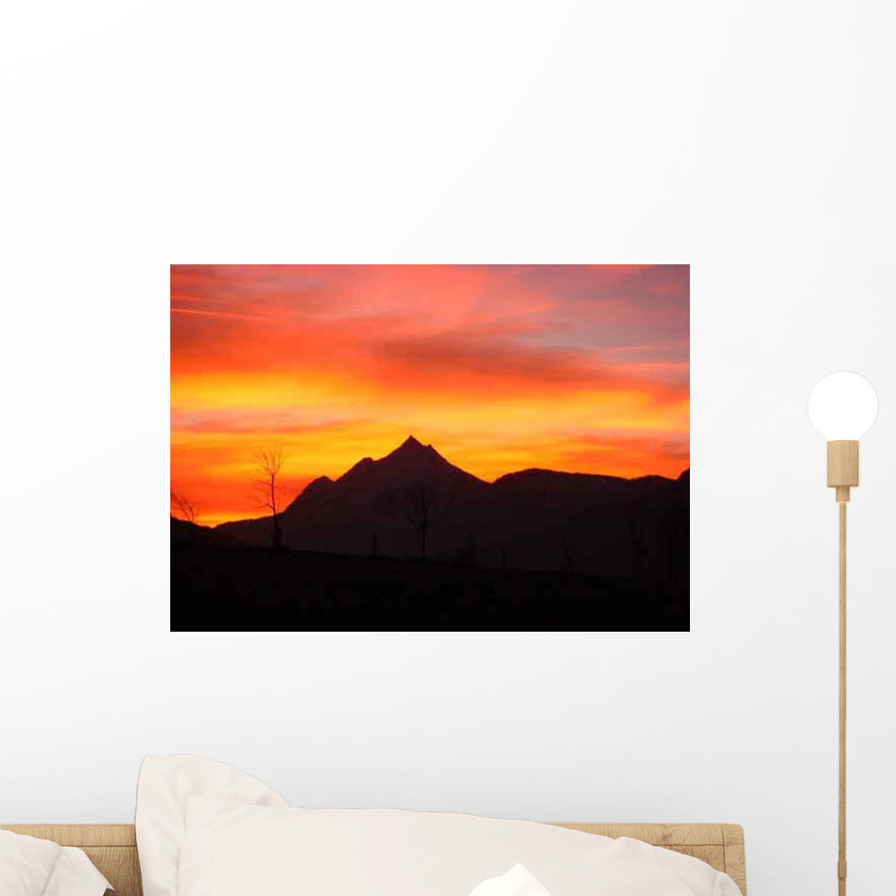 Fire Wall Decal - WallMonkeys.com – Wallmonkeys