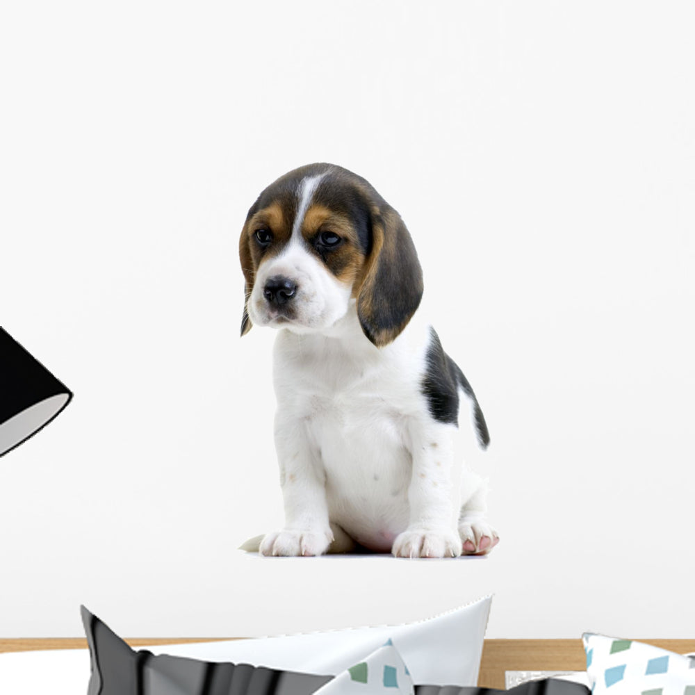 Beagle Puppy Wall Decal – Wallmonkeys