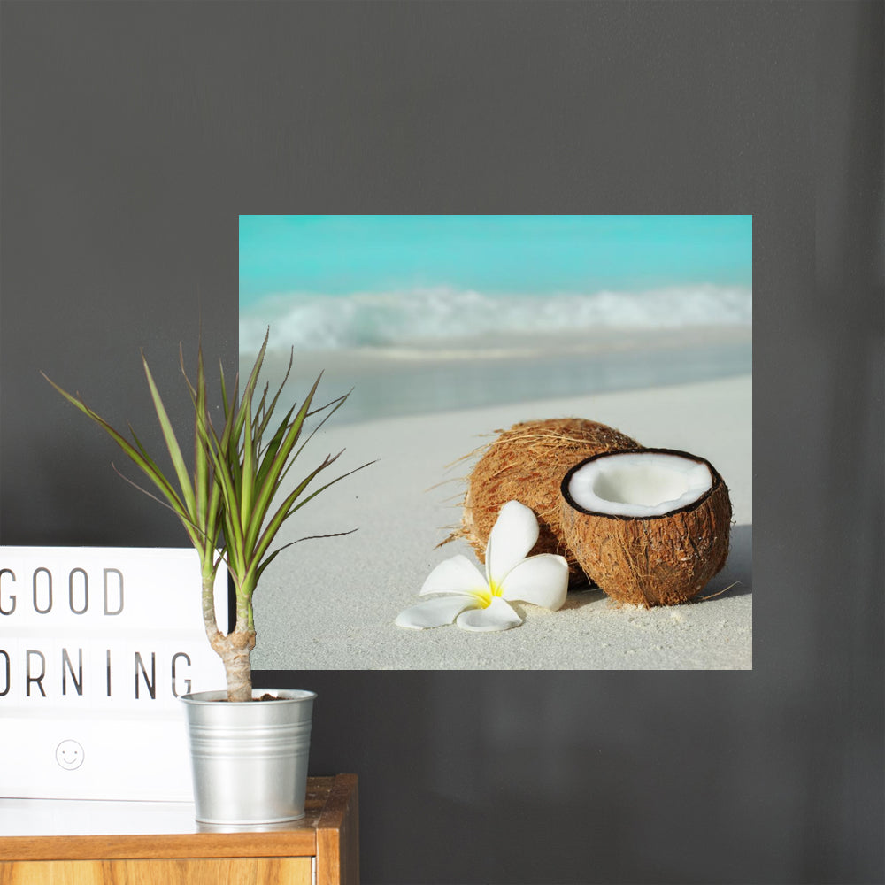 Coconut Wall Mural – Wallmonkeys