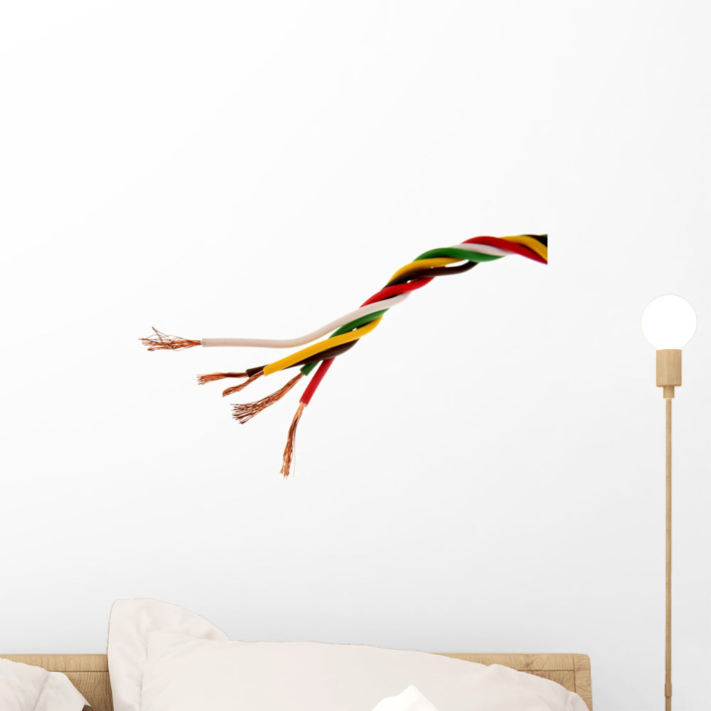 Wires Wall Decal – Wallmonkeys