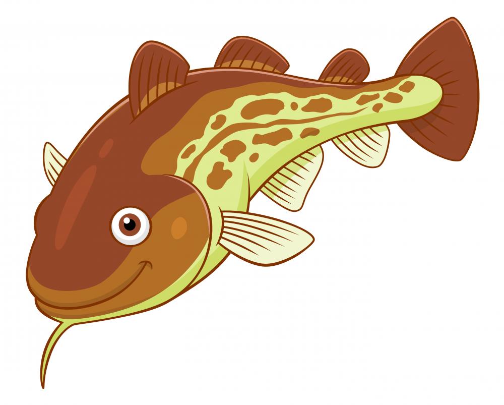 Cartoon Cod Fish Wall Decal – Wallmonkeys