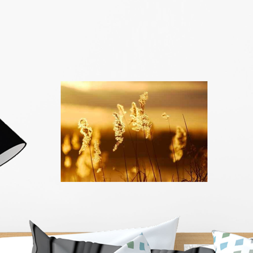 Bronze Wall Decal - WallMonkeys.com – Wallmonkeys