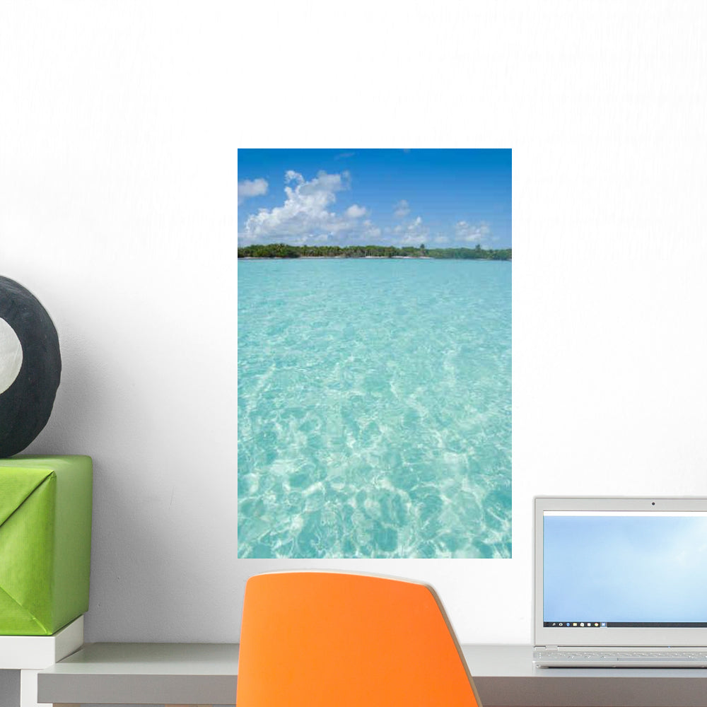 Crystal Clear Water Wall Decal - WallMonkeys.com – Wallmonkeys