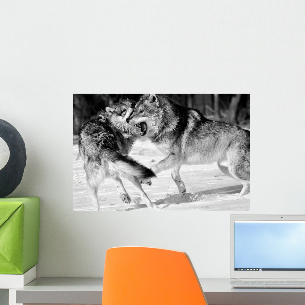 Wild Wolves Wall Mural – Wallmonkeys