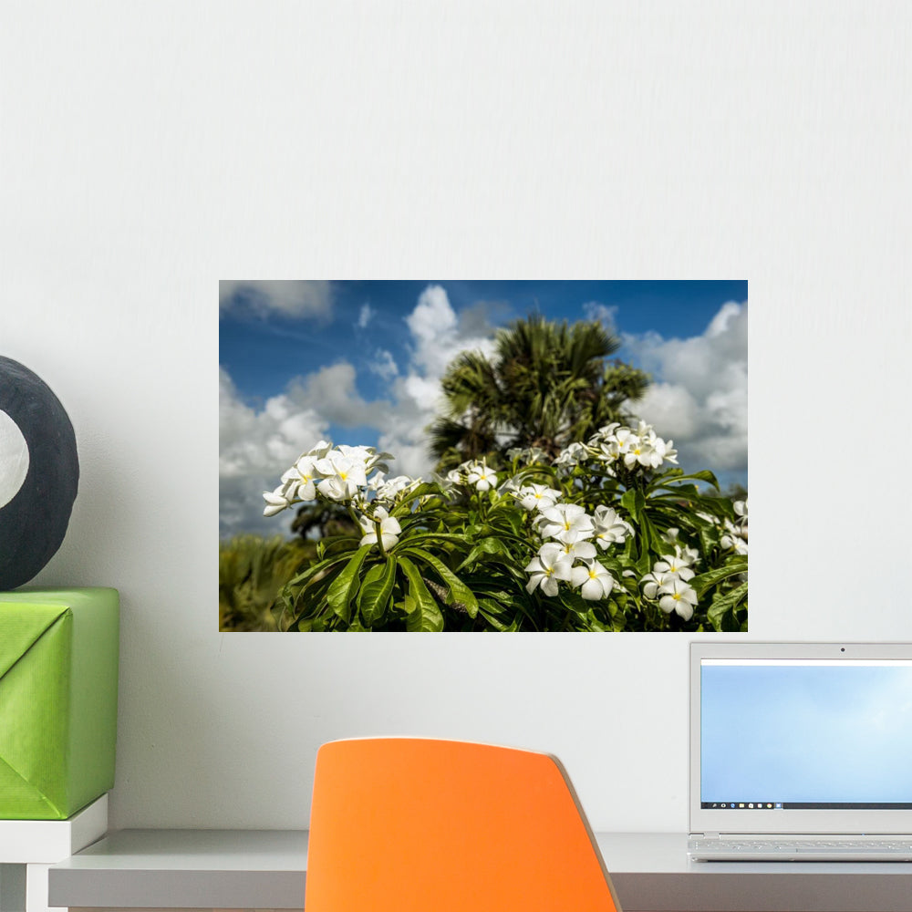 Frangipani Wall Decal - WallMonkeys.com – Wallmonkeys