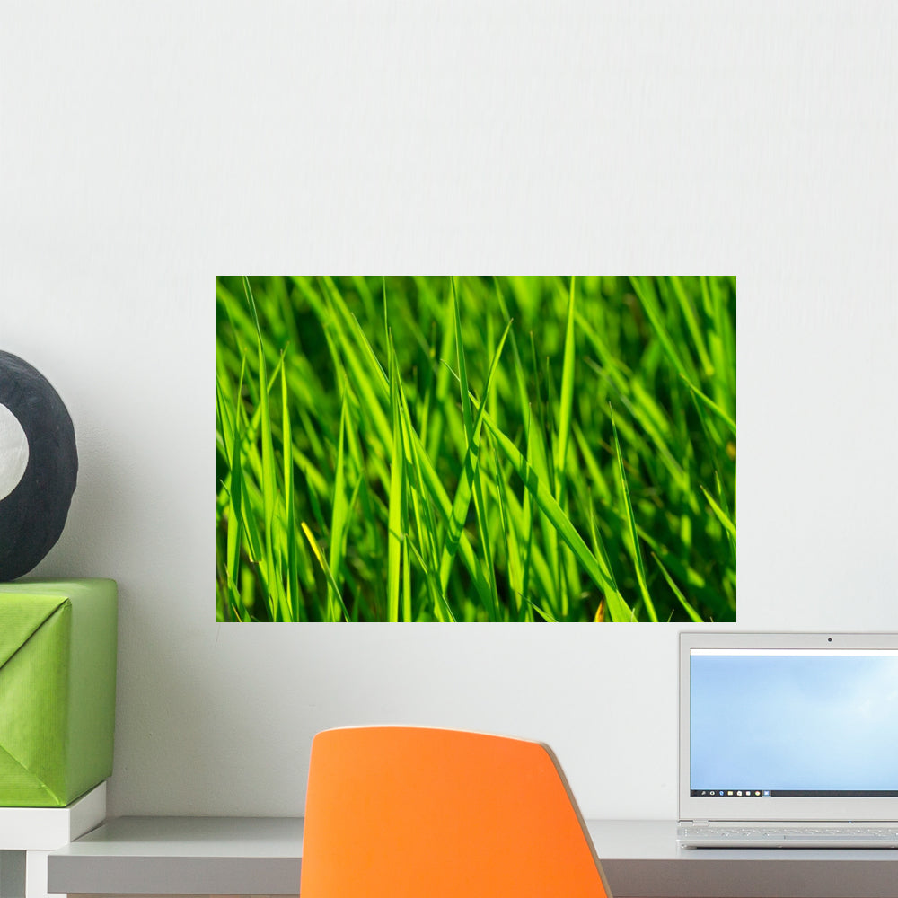 Grass Wall Mural – Wallmonkeys