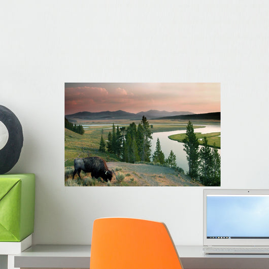Yellowstone National Park Wall Mural – Wallmonkeys