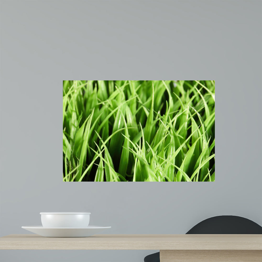 Artificial Grass Wall Mural – Wallmonkeys