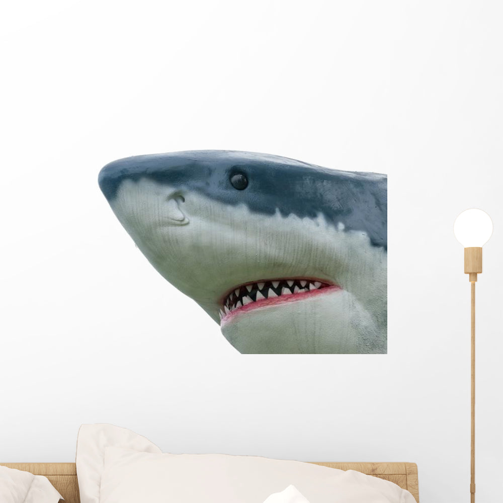 Pointy Shark Head Wall Decal - WallMonkeys.com – Wallmonkeys