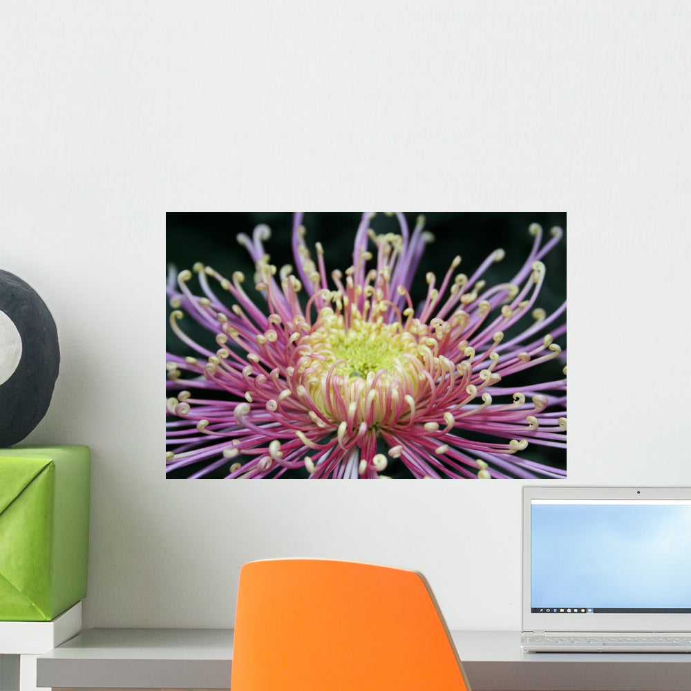 Sprite Wall Mural – Wallmonkeys