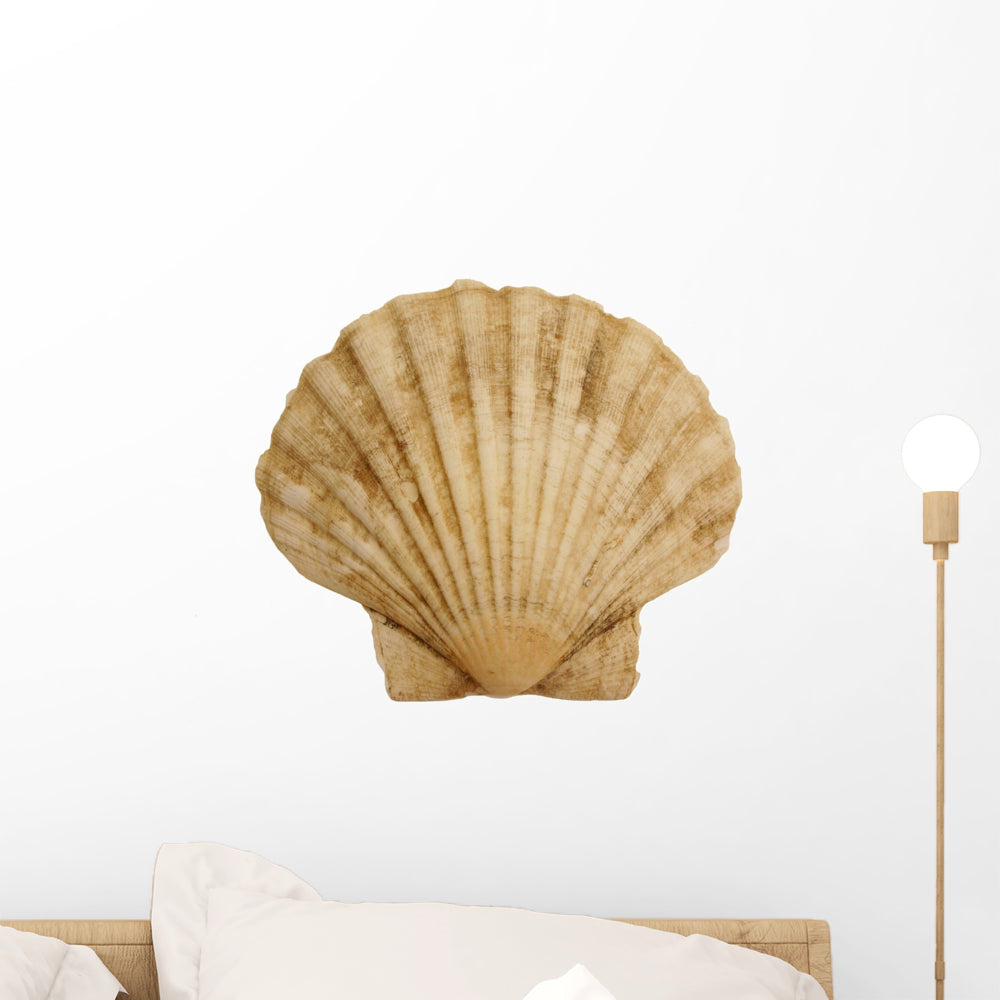 Sea Shell Wall Decal – Wallmonkeys
