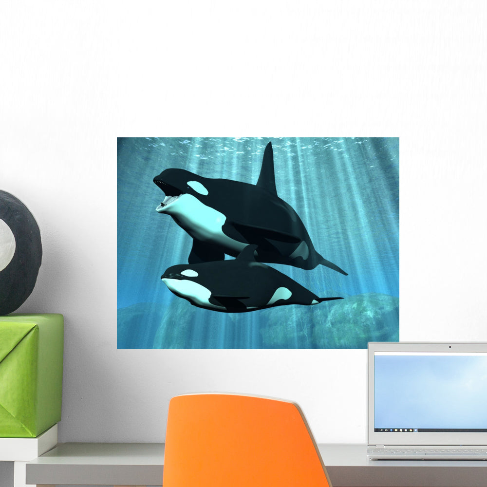 Orca Killer Whale Wall Mural – Wallmonkeys