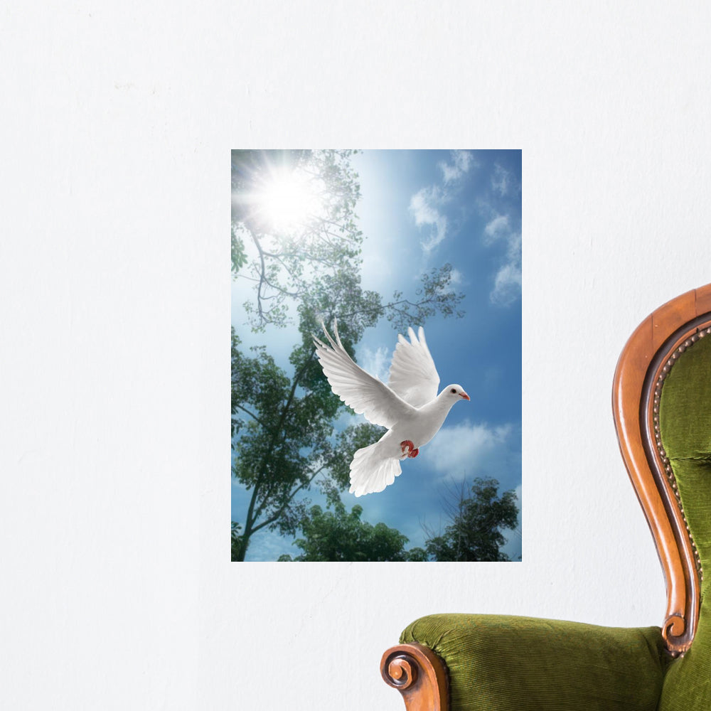 White Dove Flying Wall Mural – Wallmonkeys