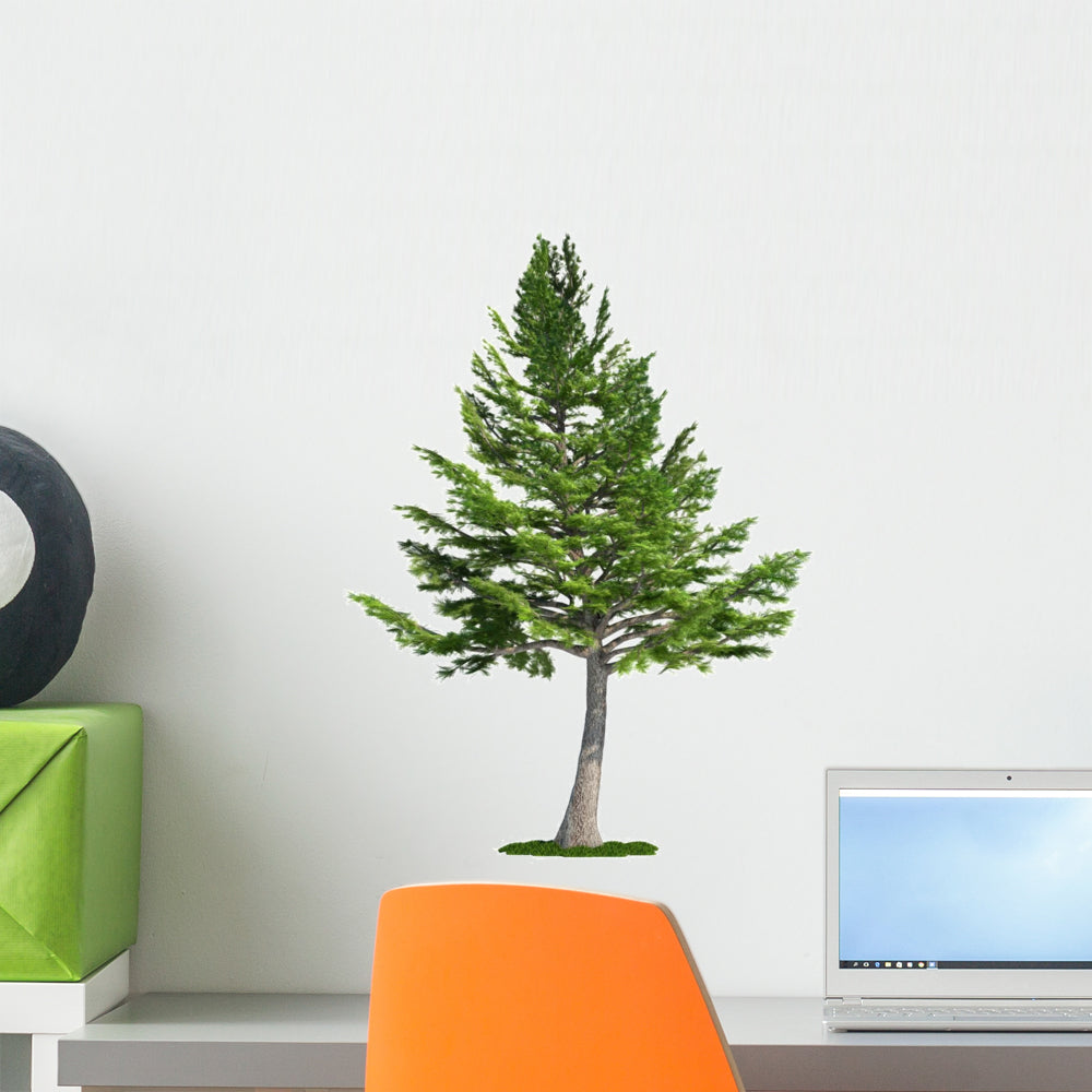 Lebanon Cedar Tree Wall Decal – Wallmonkeys