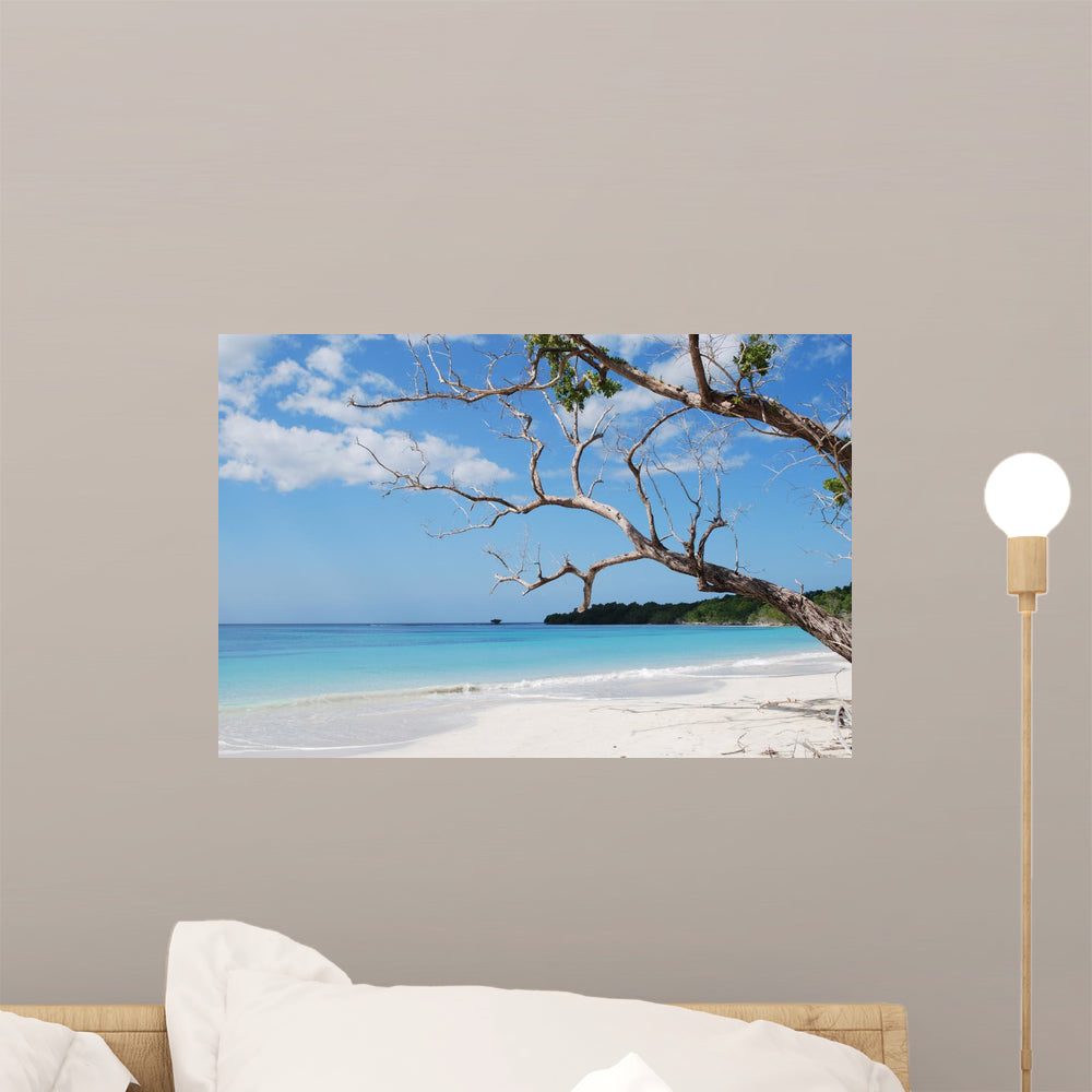 Dead Tree Wall Decal - WallMonkeys.com – Wallmonkeys