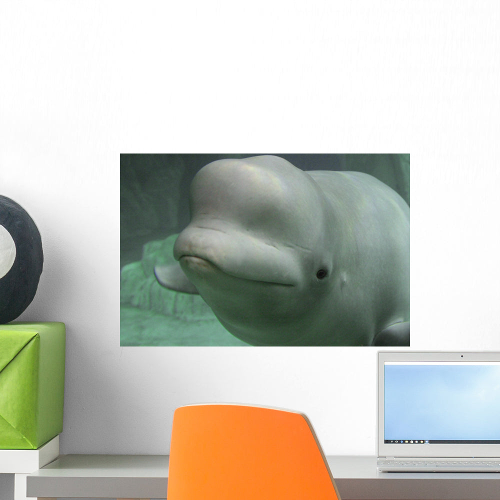 Beluga Whale Wall Decal - WallMonkeys.com – Wallmonkeys