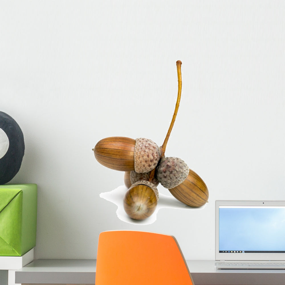 Acorns Wall Decal - WallMonkeys.com – Wallmonkeys