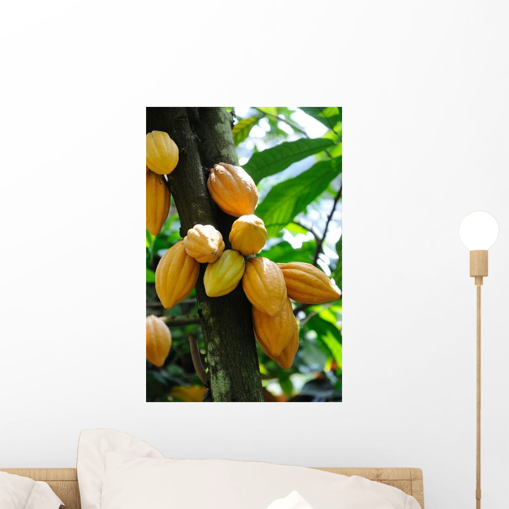 Cocoa Pods Wall Decal - WallMonkeys.com – Wallmonkeys