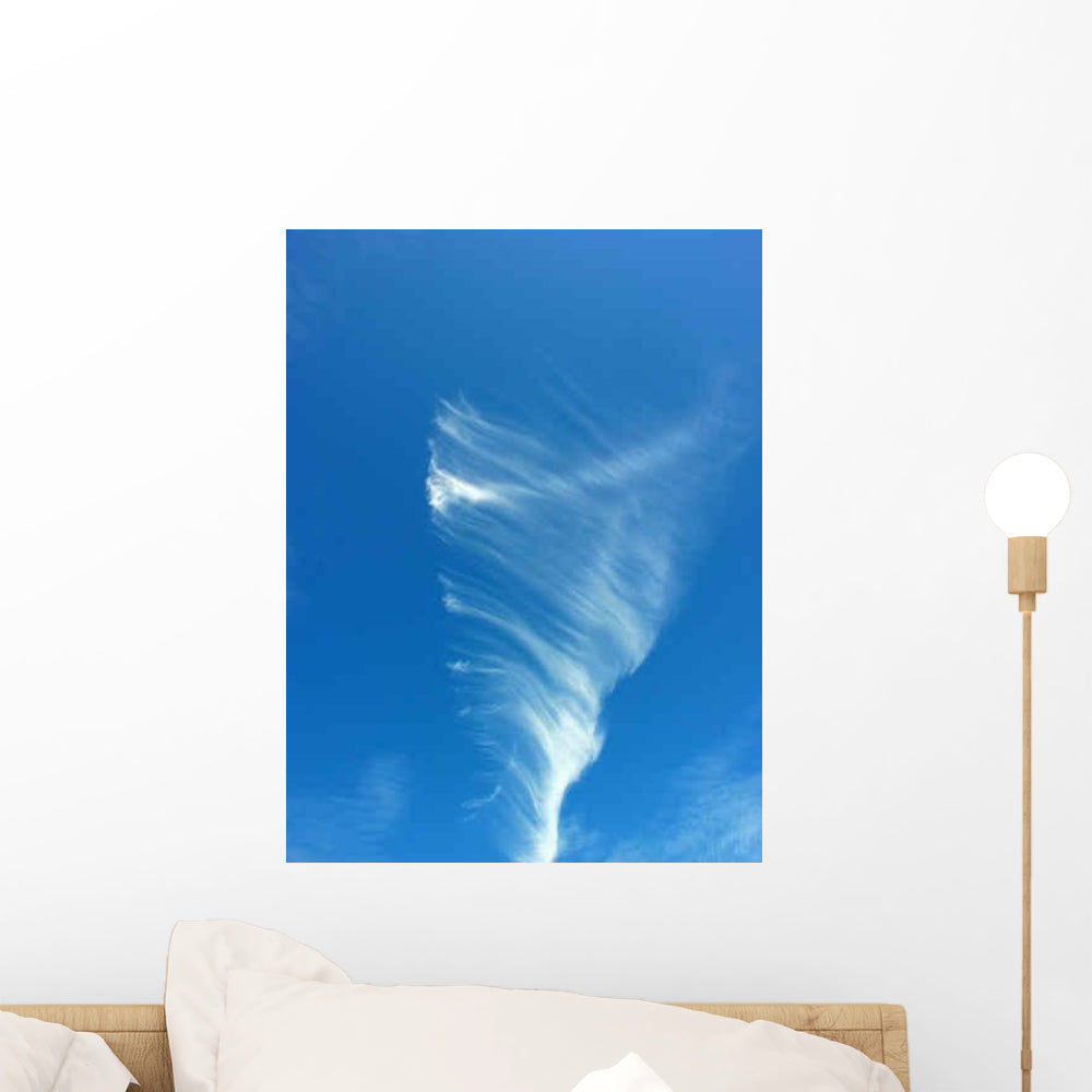Cloud Vortex Wall Decal - WallMonkeys.com – Wallmonkeys