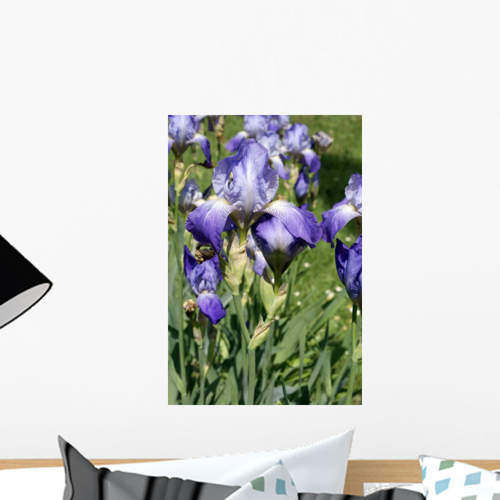 Irises Blooming Garden Wall Decal - WallMonkeys.com – Wallmonkeys
